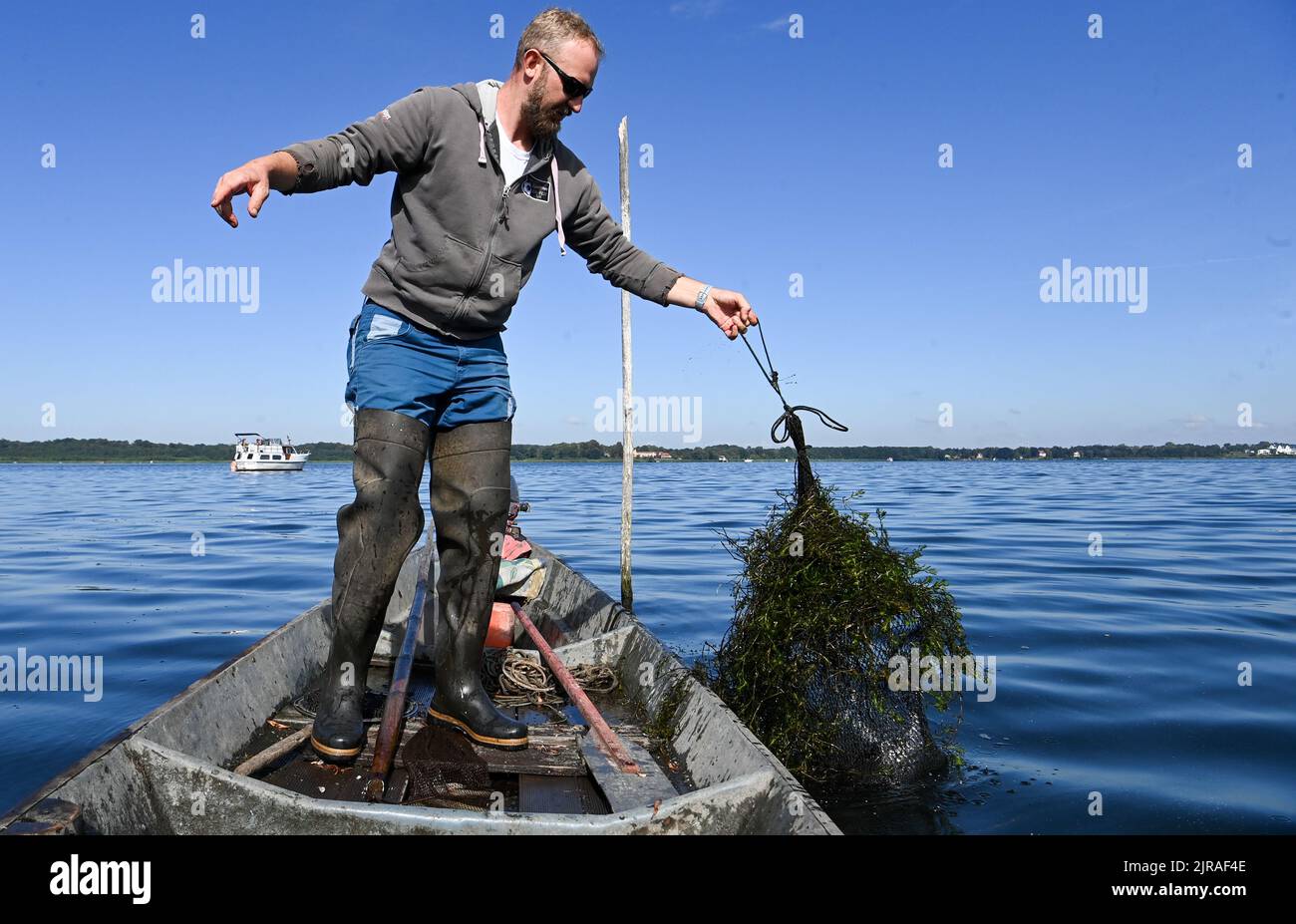23 August 2022, Brandenburg, Werder (Havel): Fisherman Alexander Mai ...