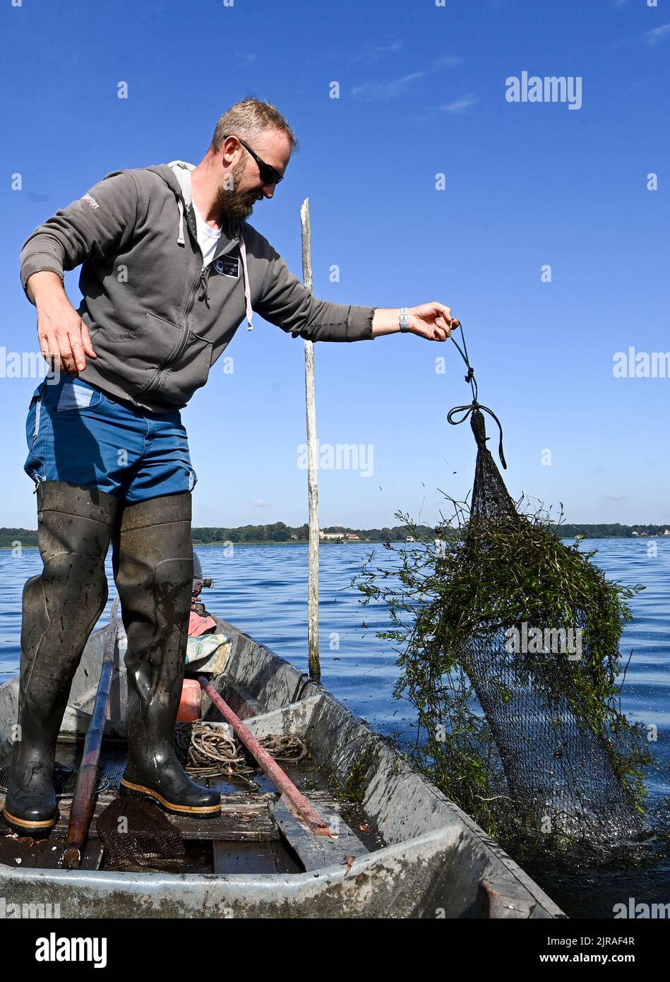 23 August 2022, Brandenburg, Werder (Havel): Fisherman Alexander Mai ...