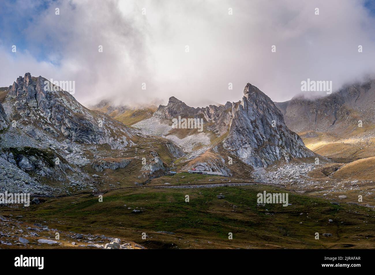 San bernardo daosta hi-res stock photography and images - Alamy