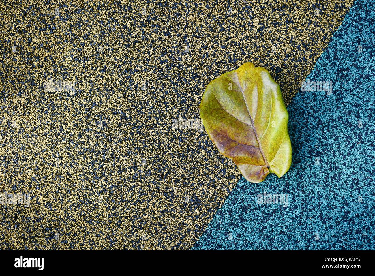 top view of Dry brown leaf on floor background Stock Photo - Alamy