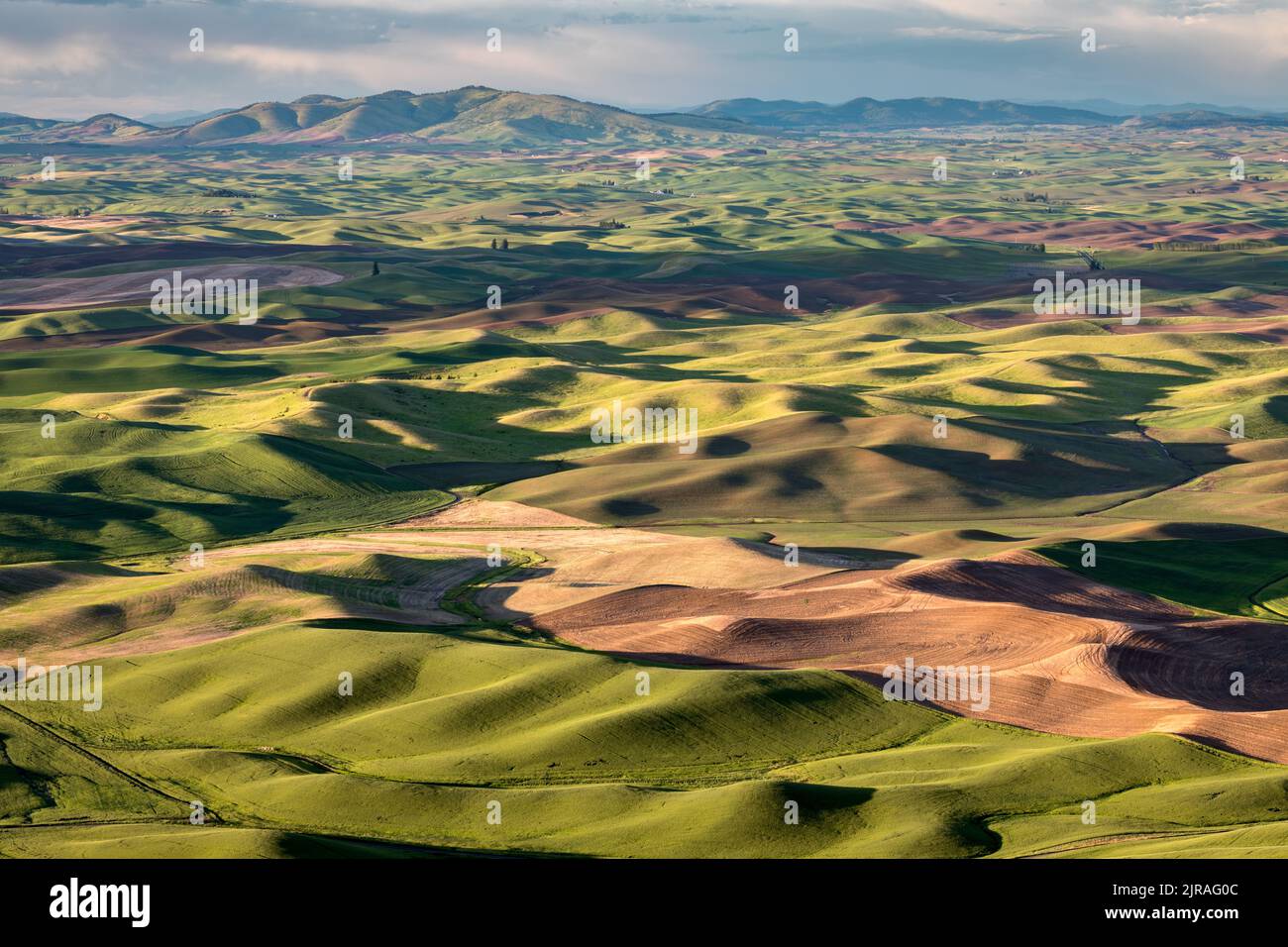Aerial of palouse region hi-res stock photography and images - Alamy
