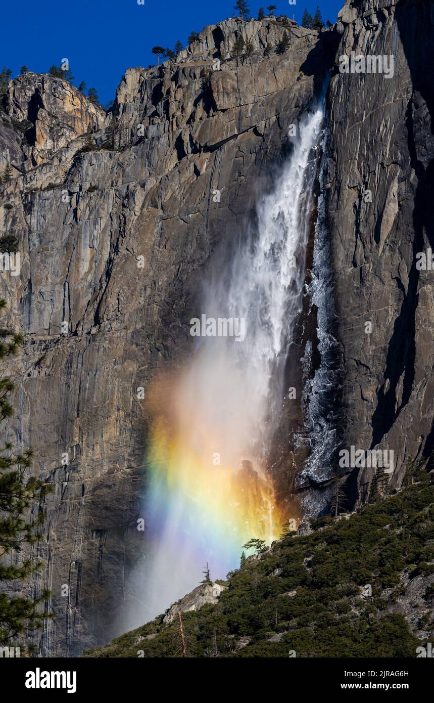 A vertical shot of the Yosemite Falls flowing with sunlight catching a ...