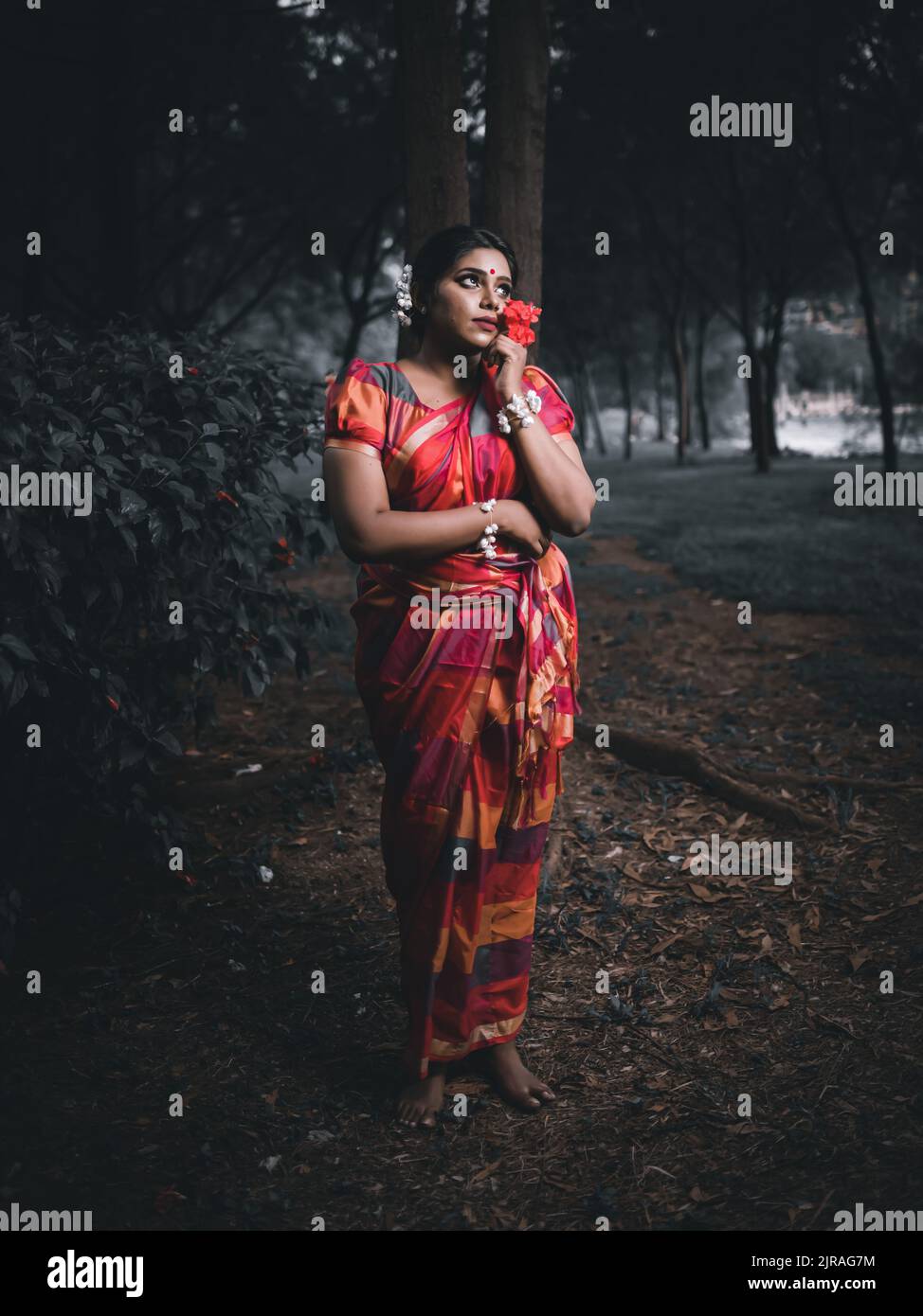 A vertical shot of a beautiful South Asian woman in a traditional dress ...