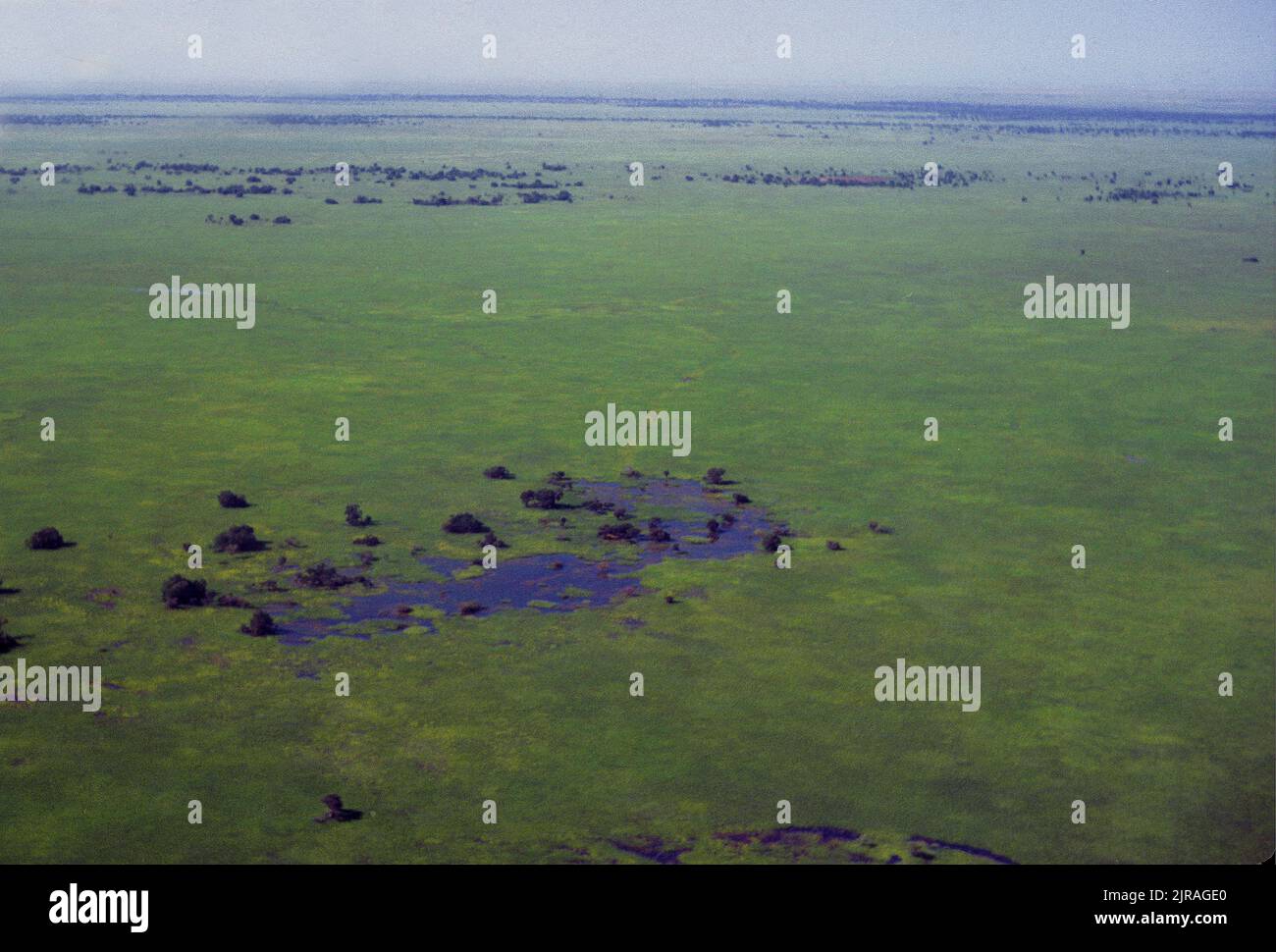 Lake chad wetland hi-res stock photography and images - Alamy