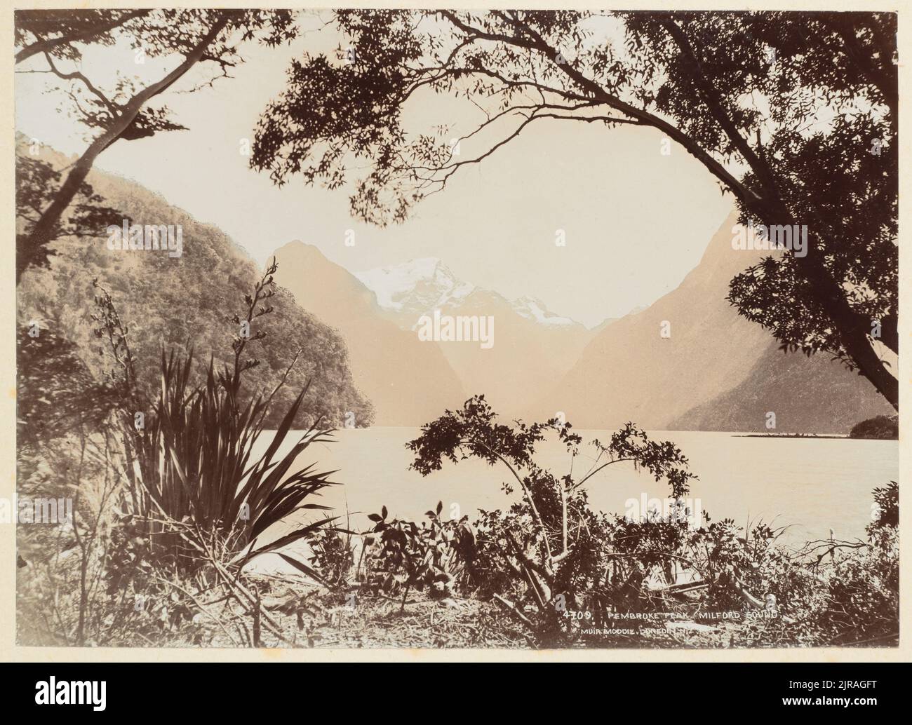 Pembroke Peak, Milford Sound, by Muir & Moodie, Burton Brothers Stock ...