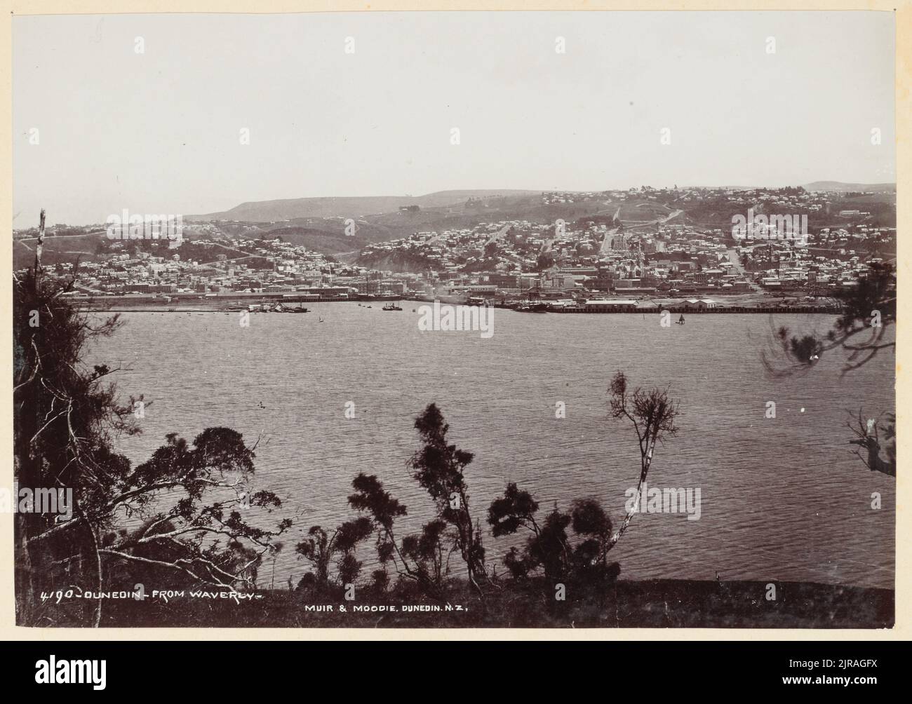 Dunedin from Waverly [Waverley], by Muir & Moodie, Burton Brothers ...