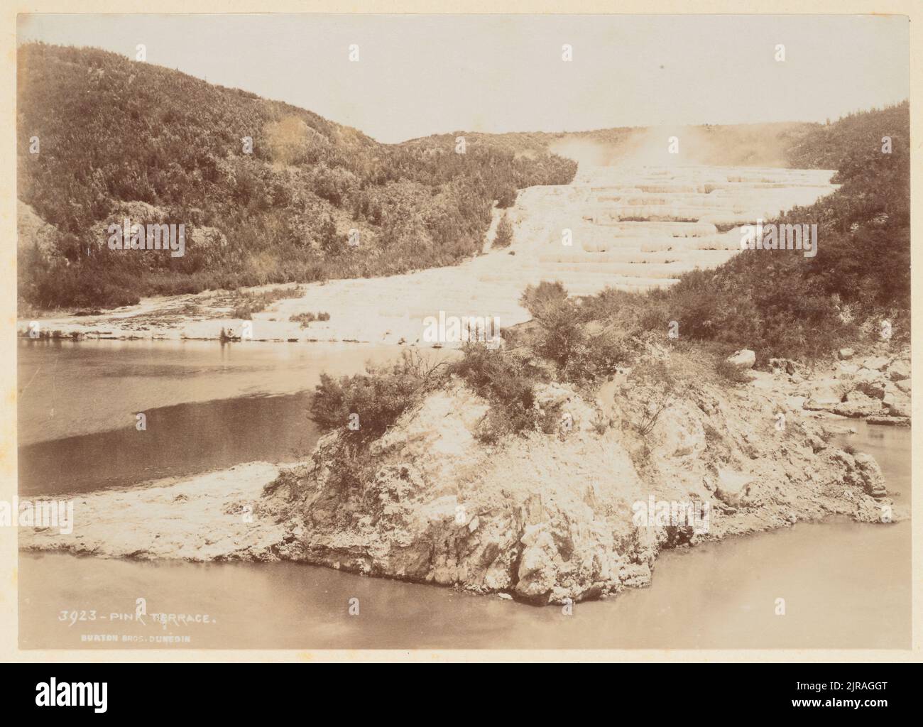 Pink Terrace, 1880s, Dunedin, by Burton Brothers Stock Photo - Alamy