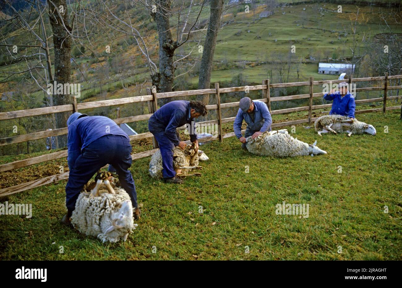Luz mountain range hi-res stock photography and images - Alamy