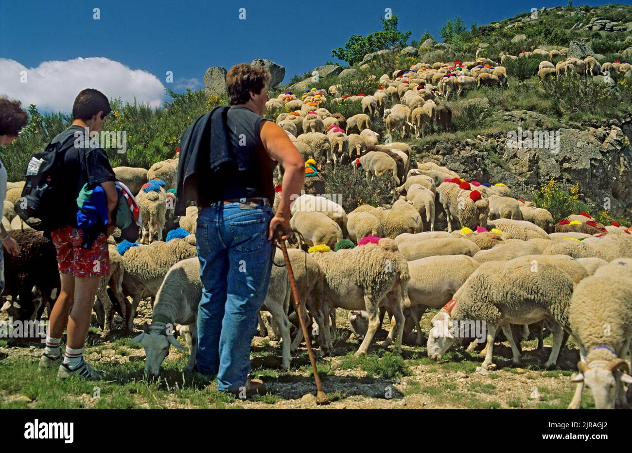 Transhumance pathways hi-res stock photography and images - Alamy