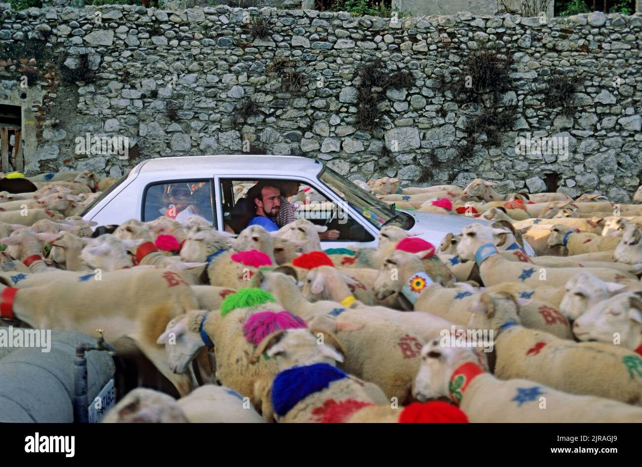 Laroque, in the Herault department (south of France), 1992 ...