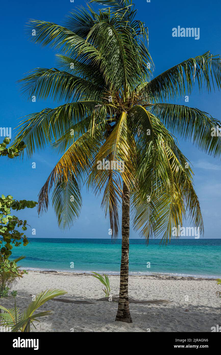 Best beaches epic island vacation destinations for travel and ...