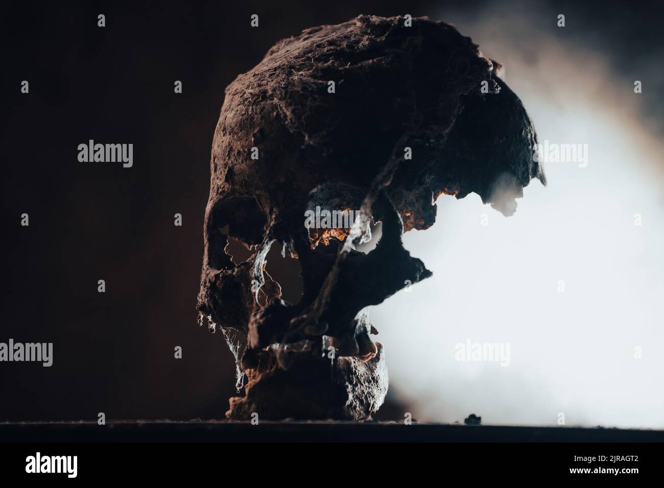 Real human skull in mysterious, foggy light. Spooky, horror wallpaper ...