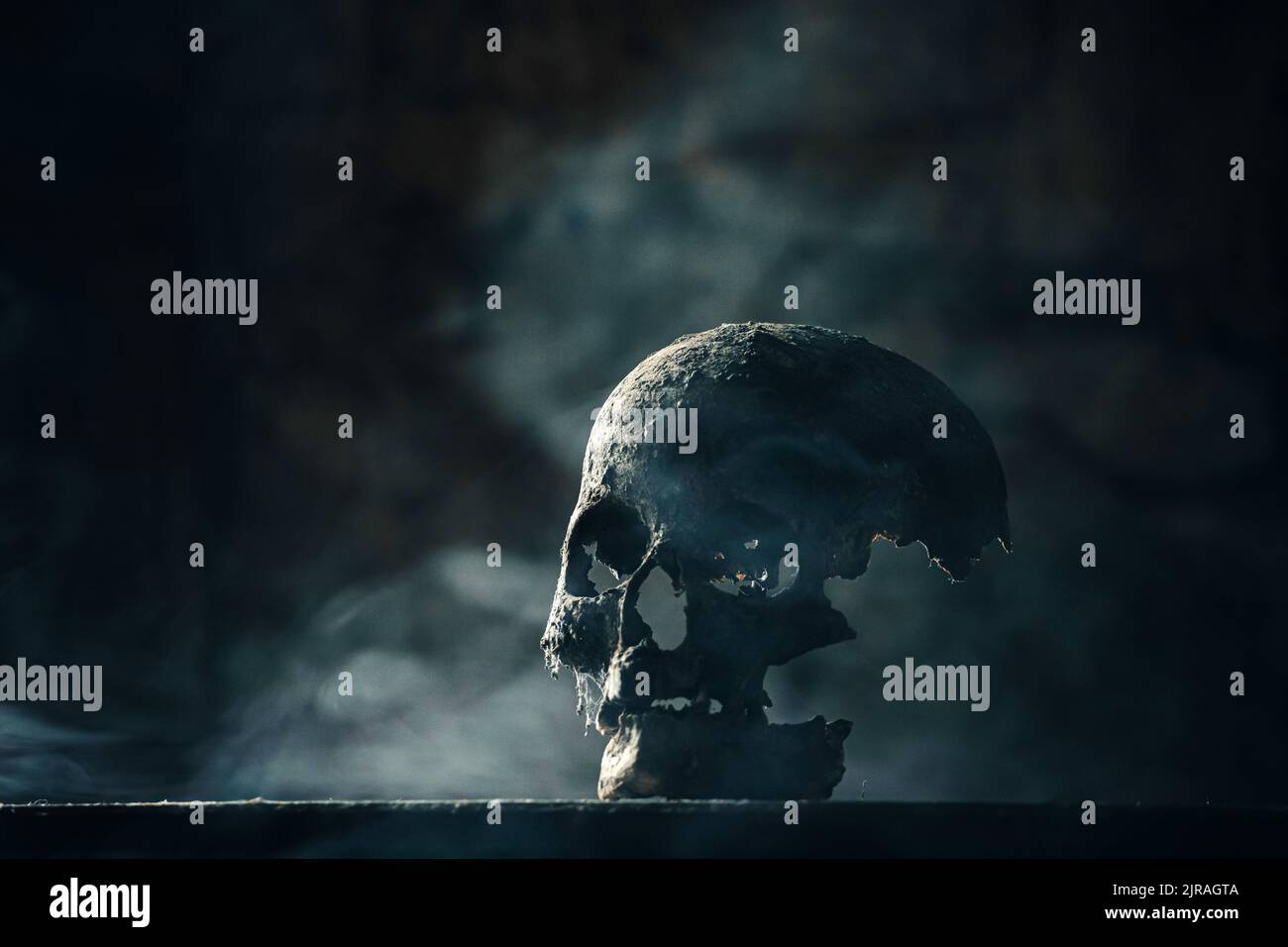 Real human skull in mysterious, foggy light. Spooky, horror wallpaper ...