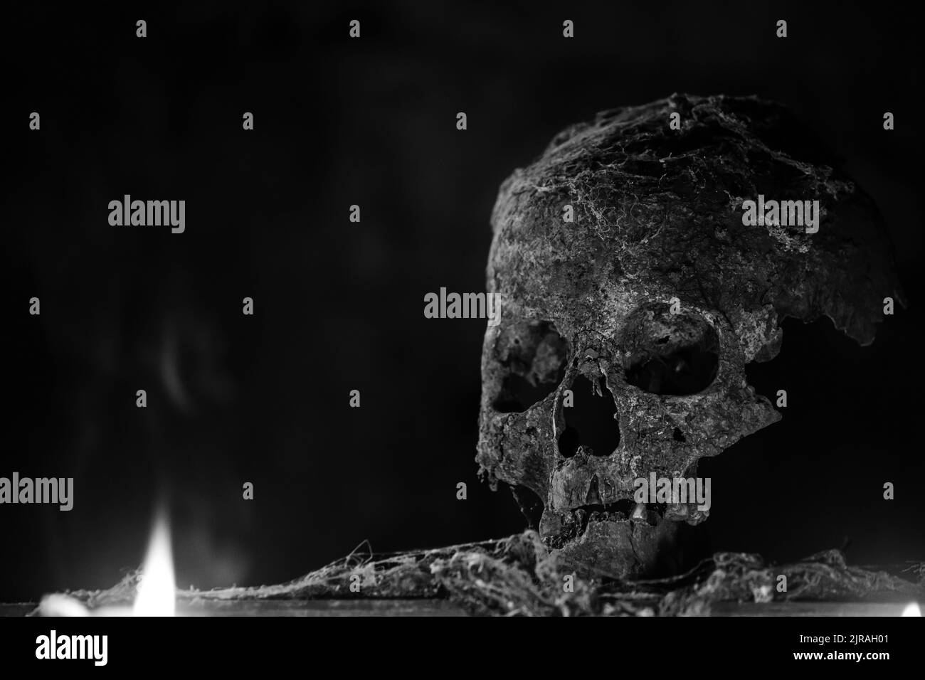 Real human skull in mysterious, foggy light. Spooky, horror wallpaper ...