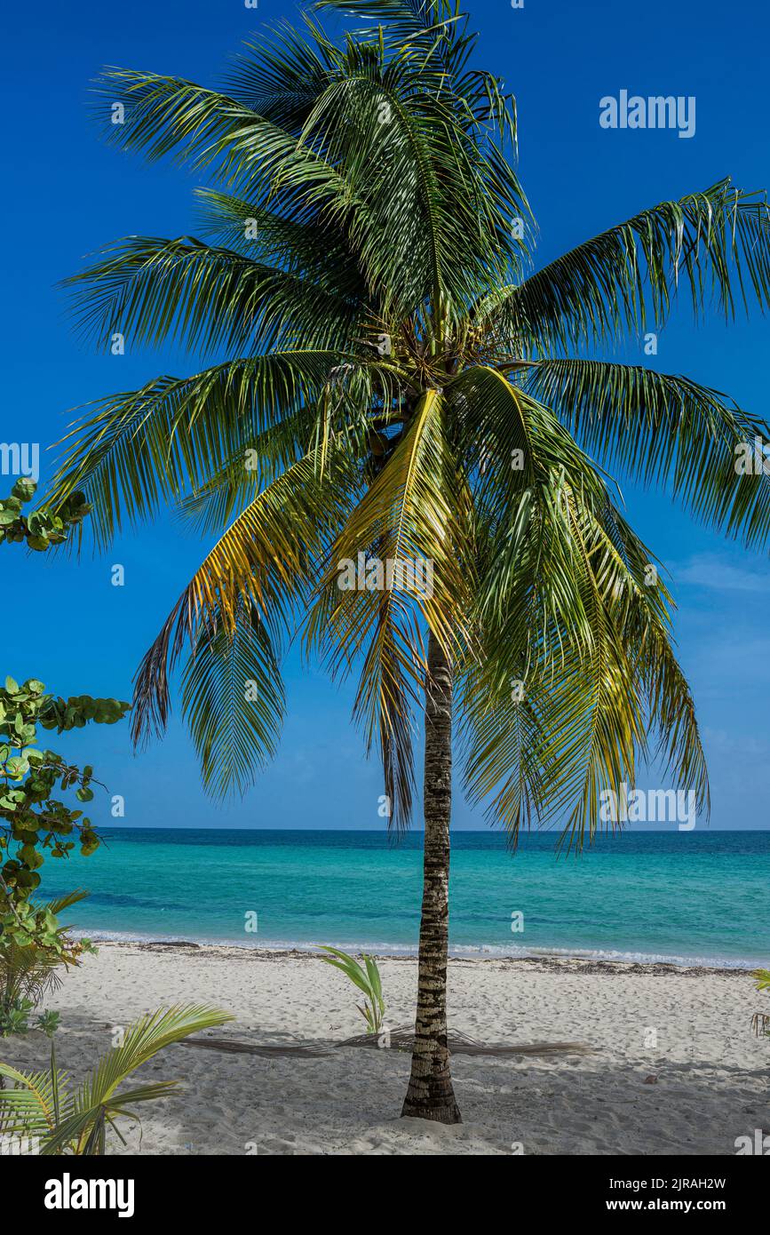 Best beaches epic island vacation destinations for travel and ...