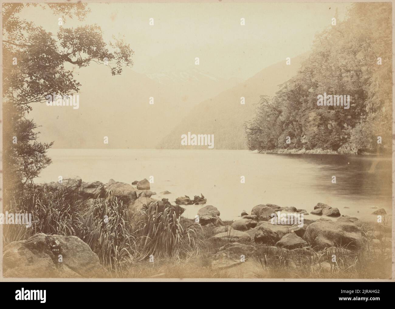 Dusky sound hi-res stock photography and images - Alamy