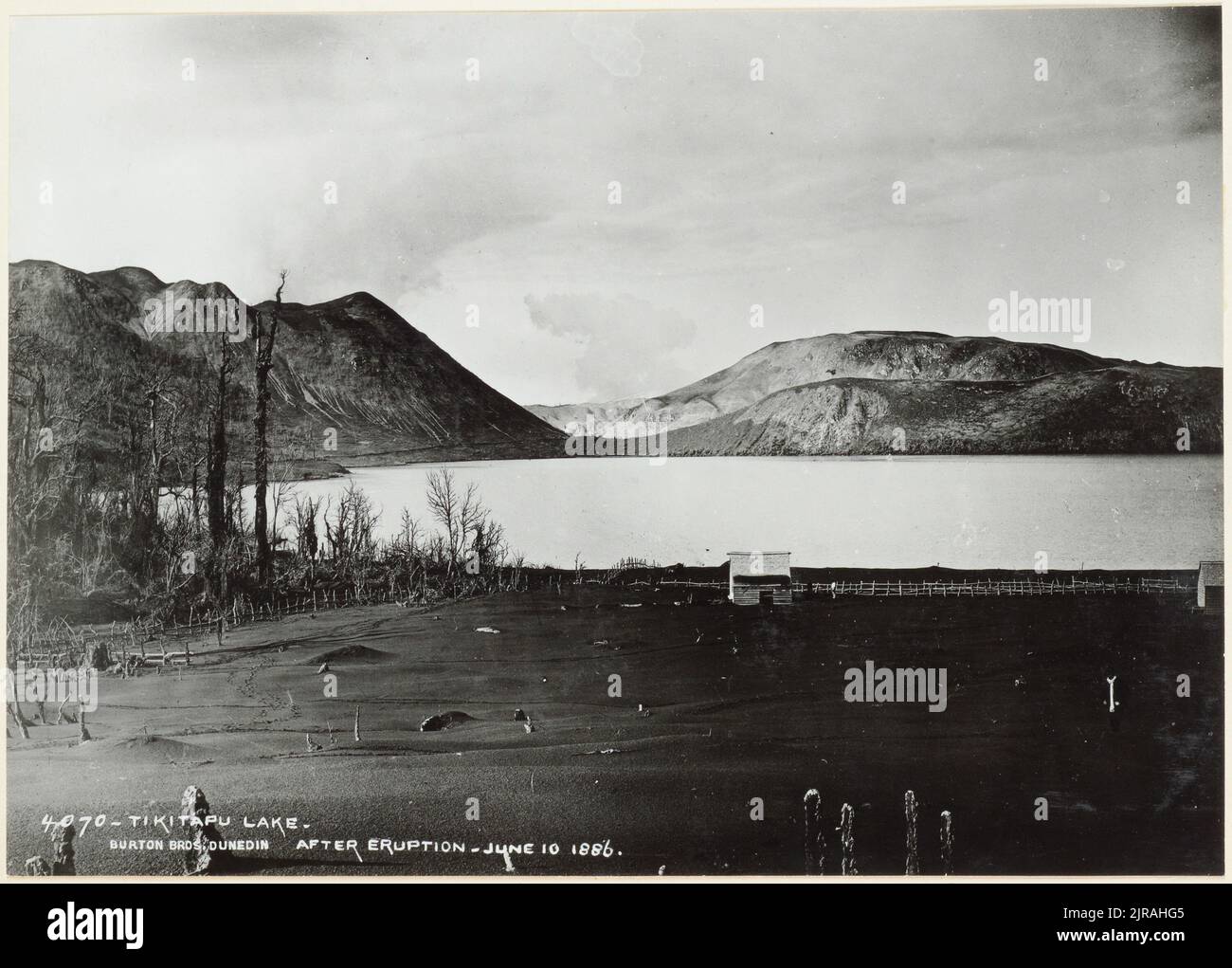 Tikitapu Lake, after eruption, June 10 1886, 1886, Plenty, Bay of, by ...