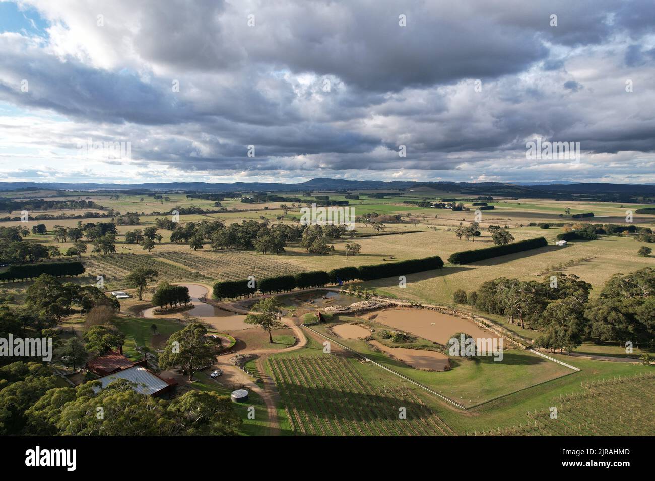 An aerial view of greenery fields surrounded by growing lush trees ...