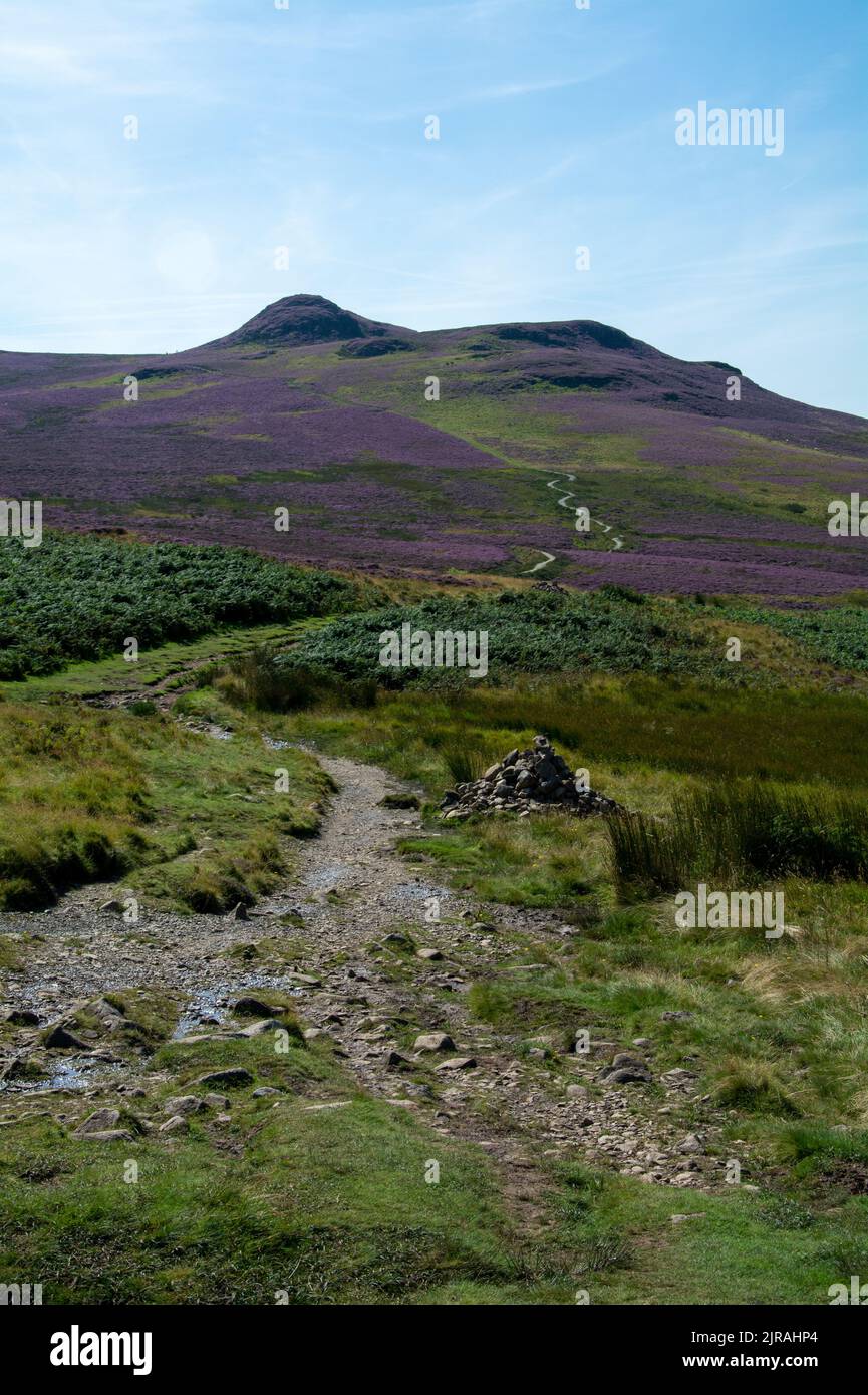 Vertical image of a rugged stone path leading up a mountain in the Lake ...