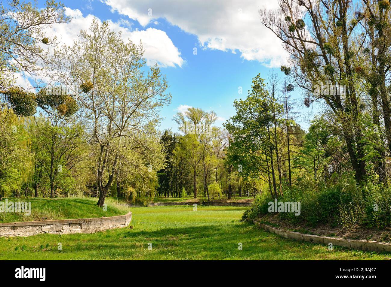 beautiful green park in spring Stock Photo - Alamy