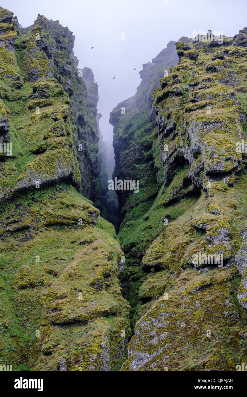 Raudfeldsgja Gorge, Iceland Stock Photo - Alamy