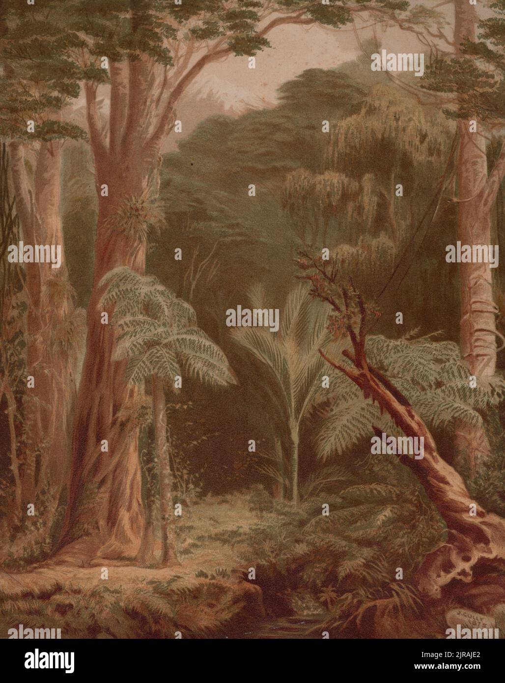 New Zealand bush scene, 1875, New Zealand, by John Gully. Gift of ...