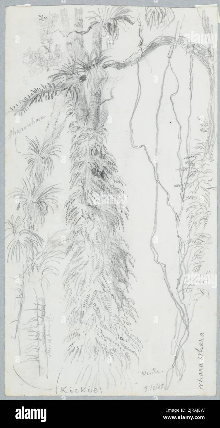 Kiekie and Wharawhara at Westoe, 9 December 1868, by Nicholas Chevalier ...