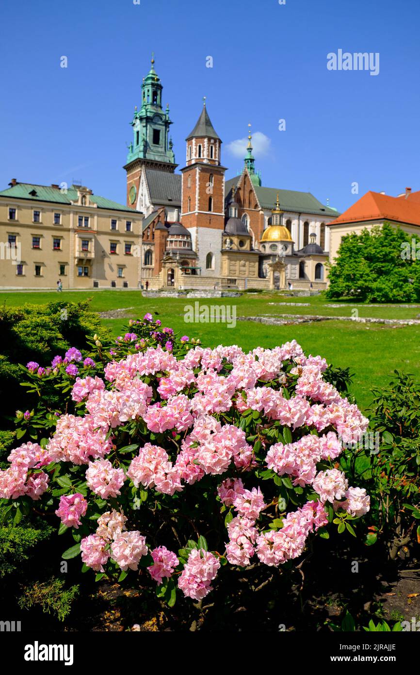 Krakow poland landscape hi-res stock photography and images - Alamy
