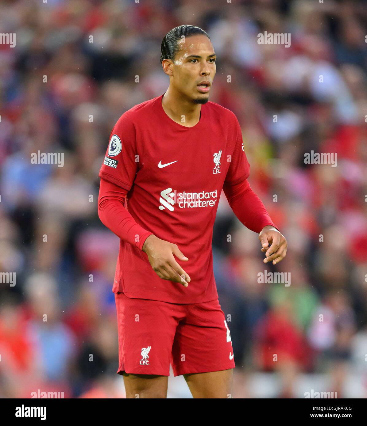 Virgil van dijk anfield hi-res stock photography and images - Alamy