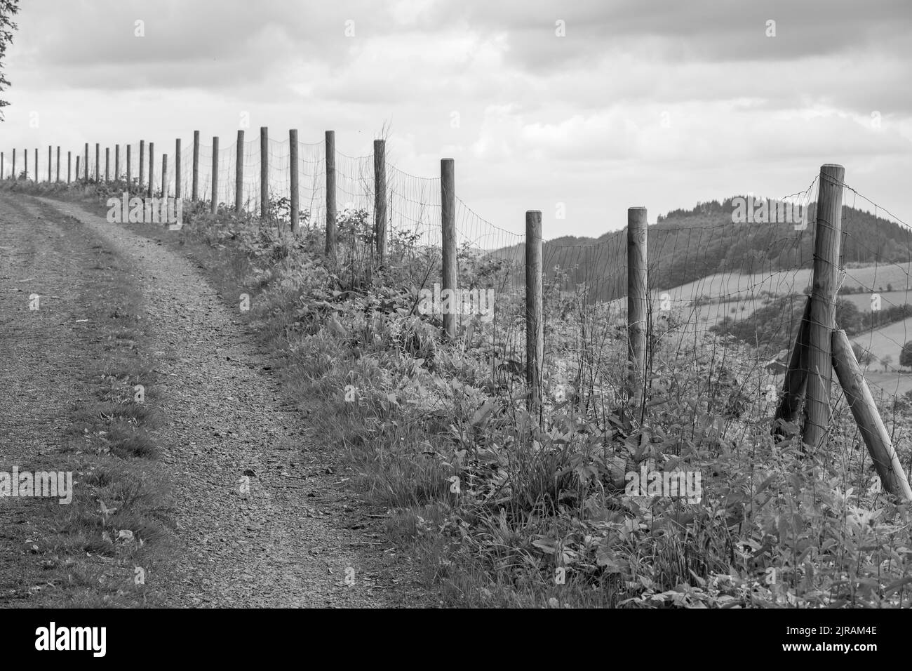 A black and white shot of a hiking trail on a hill in a rural area in ...