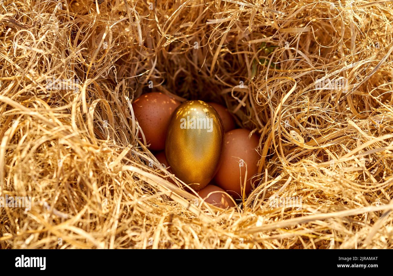 A golden egg in a nest Stock Photo - Alamy