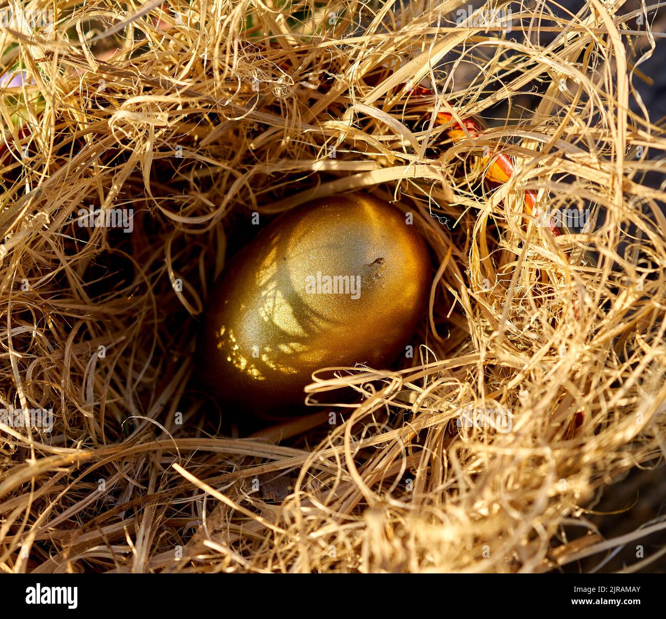 A golden egg in a nest Stock Photo - Alamy