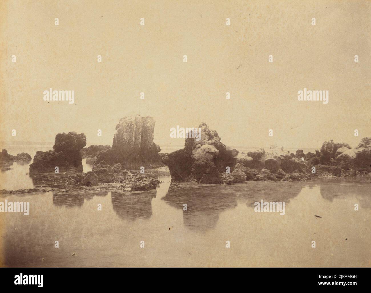 Pleasant Island. From the album: Views in the Pacific Islands, 1886 ...