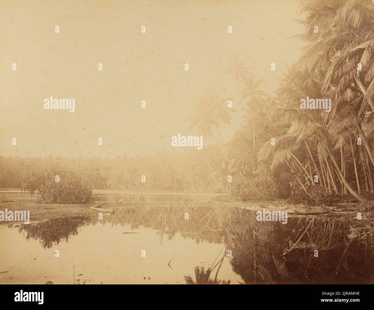 Pleasant Island. From the album: Views in the Pacific Islands, 1886 ...