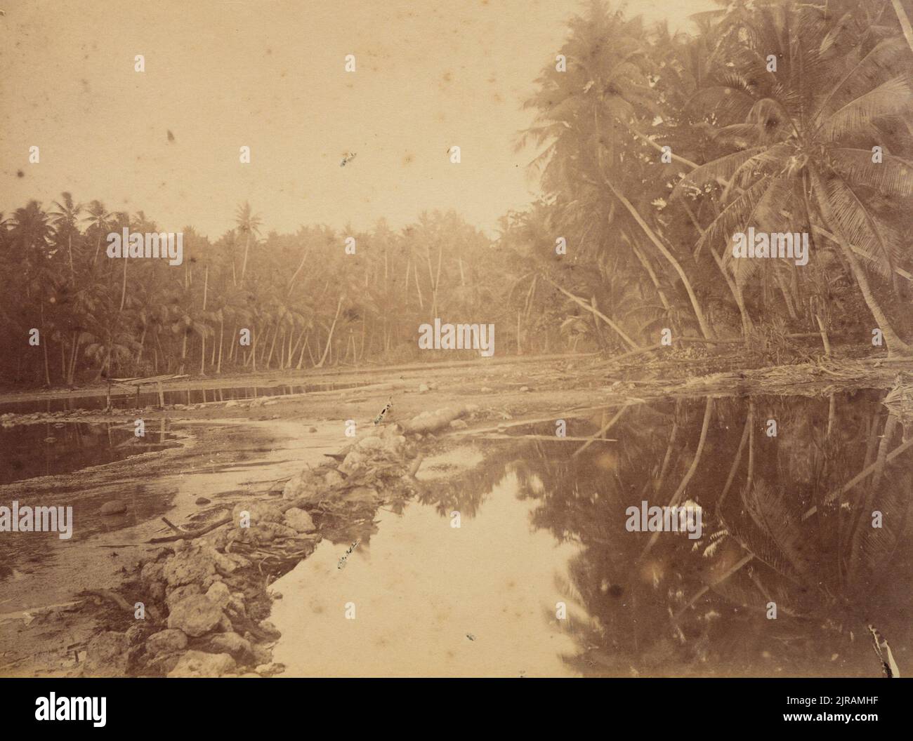 Pleasant Island. From the album: Views in the Pacific Islands, 1886 ...
