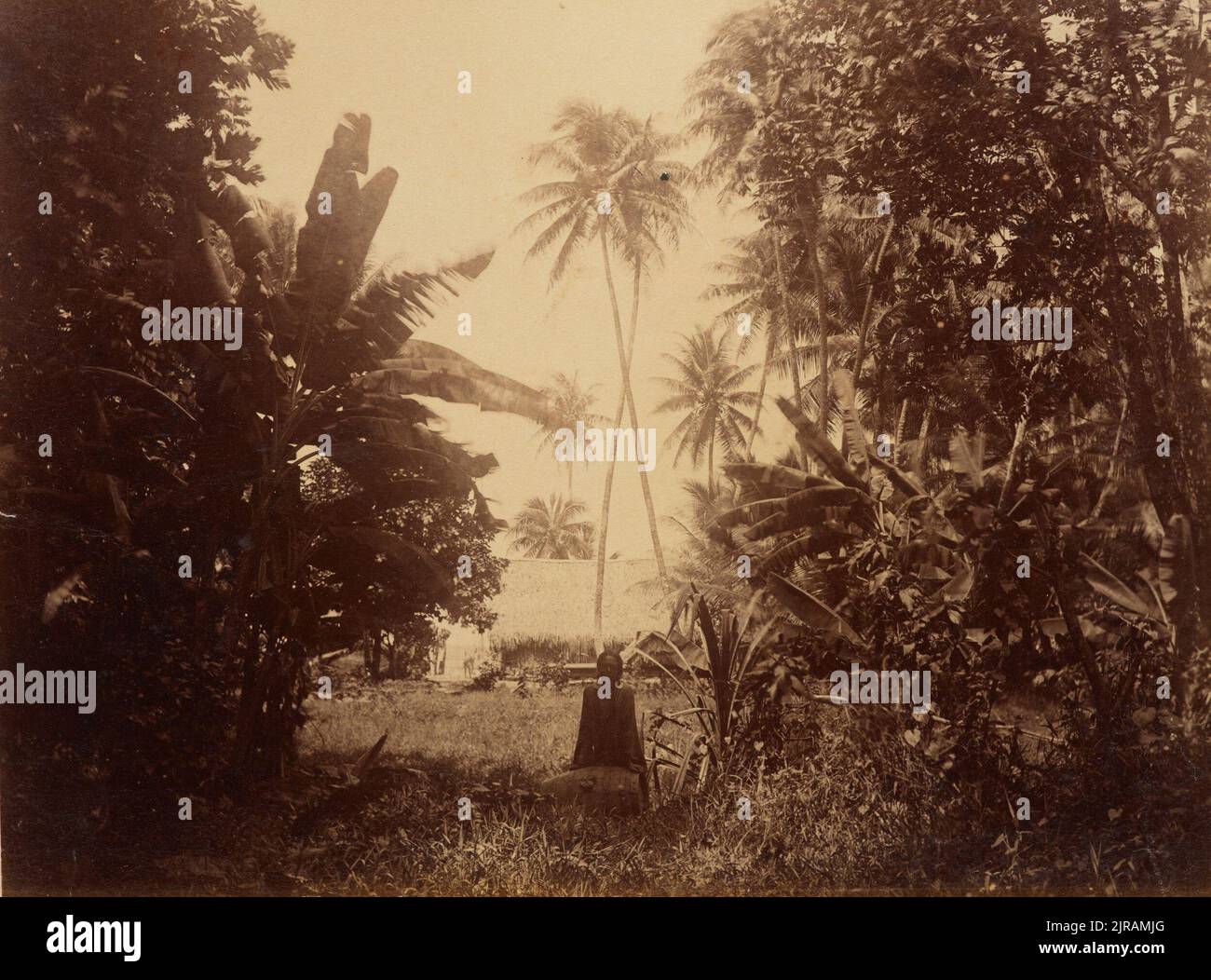 Satawan. From the album: Views in the Pacific Islands, 1886, Caroline ...