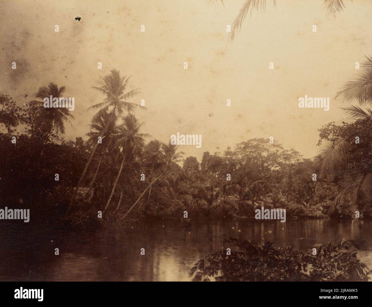 Pohnpei. From the album: Views in the Pacific Islands, 1886, Pohnpei ...