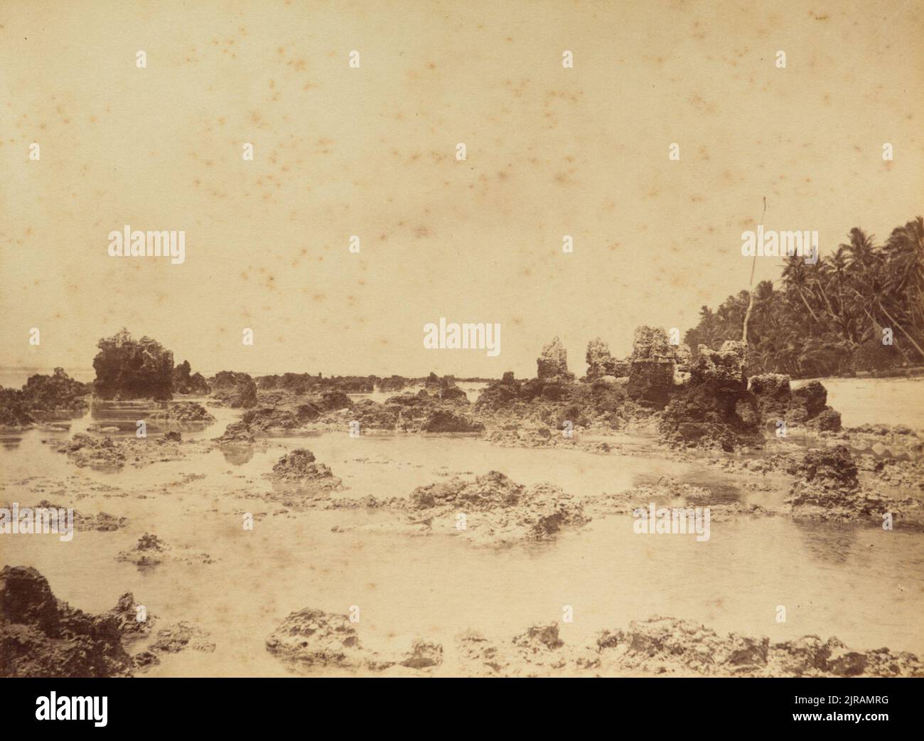 Pleasant Island. From the album: Views in the Pacific Islands, 1886 ...