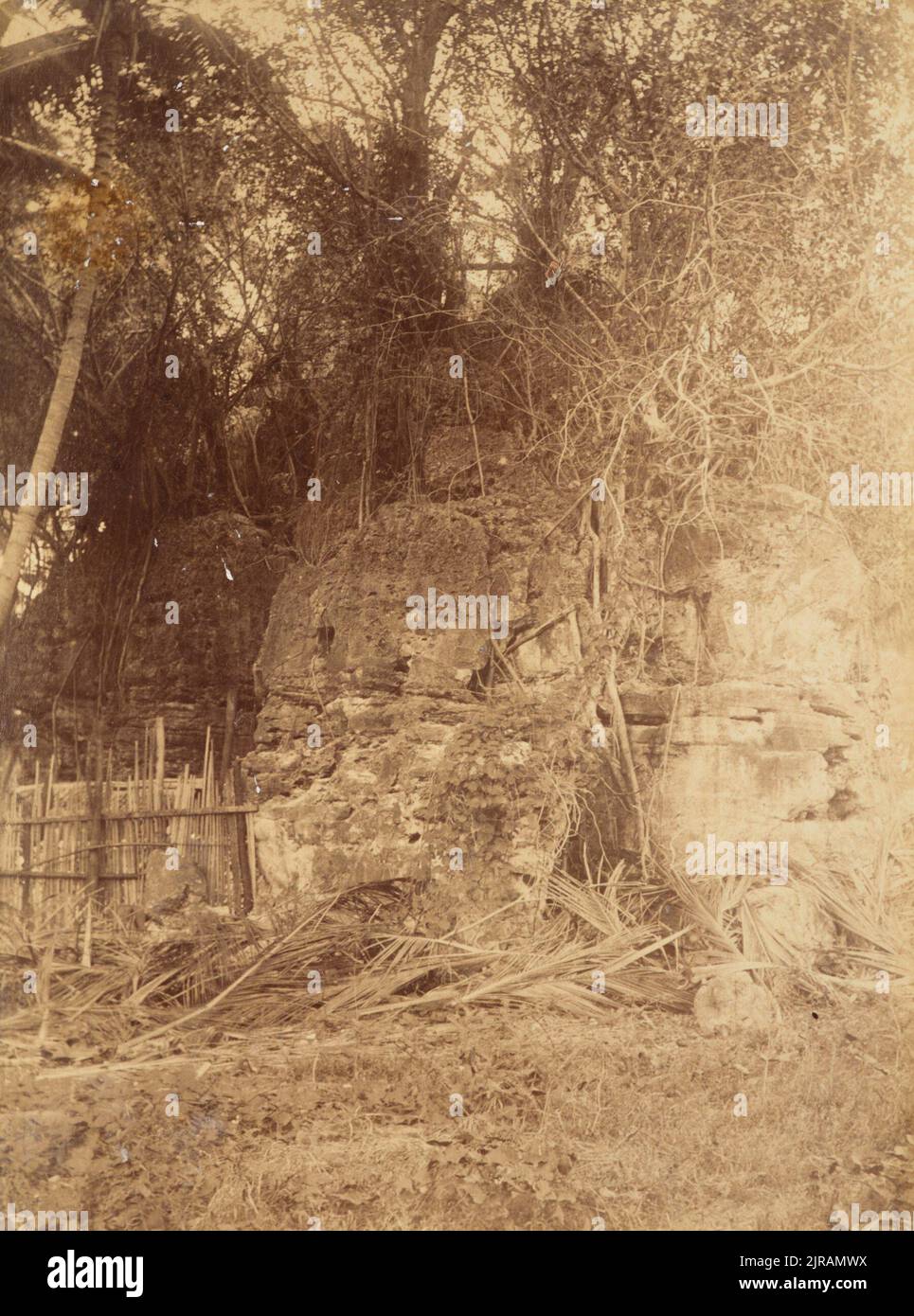 Pleasant Island. From the album: Views in the Pacific Islands, 1886 ...