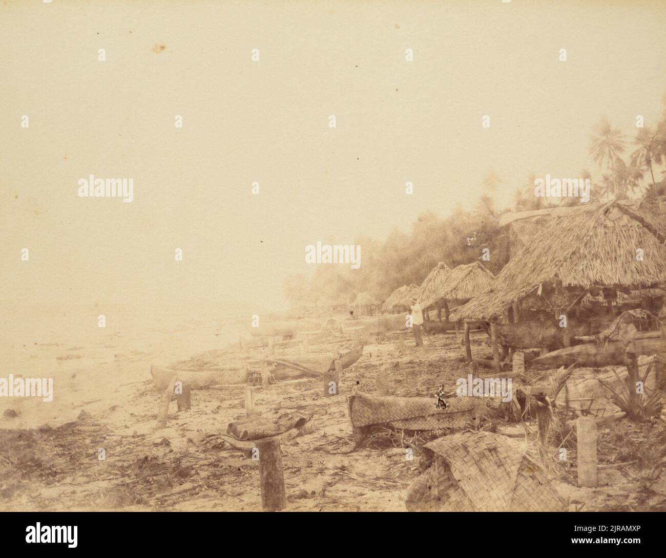 Pingelap. From the album: Views in the Pacific Islands, 1886, Pingelap ...