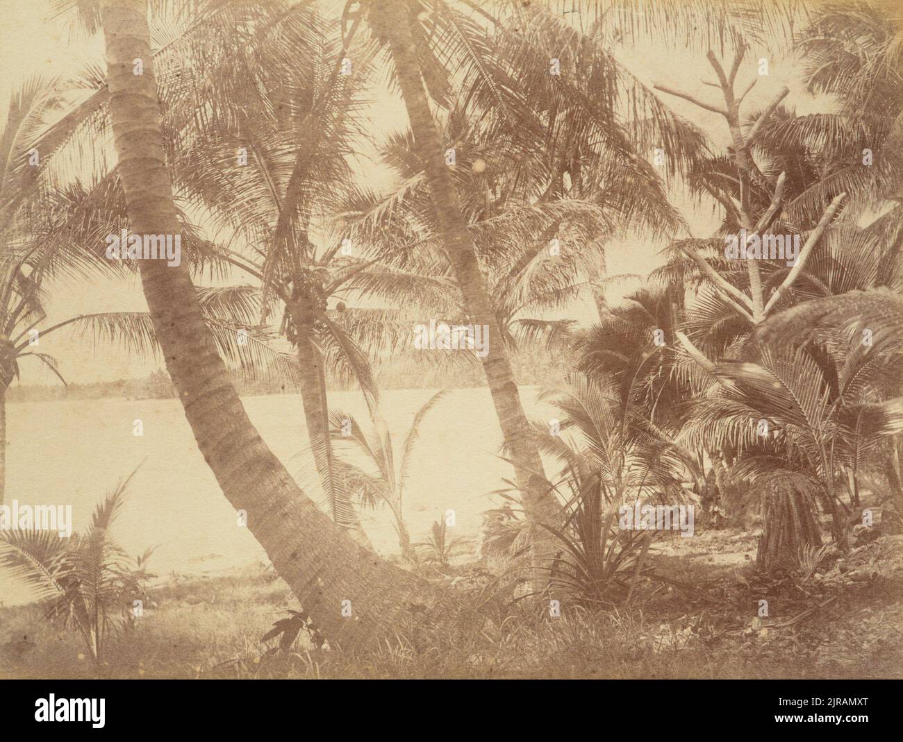 Pingelap from the album hi-res stock photography and images - Alamy