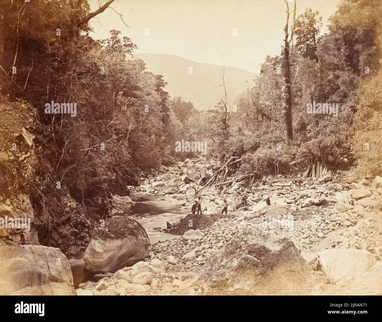 Waimingaroa River. From the album: Views of the Westport Colliery Co ...