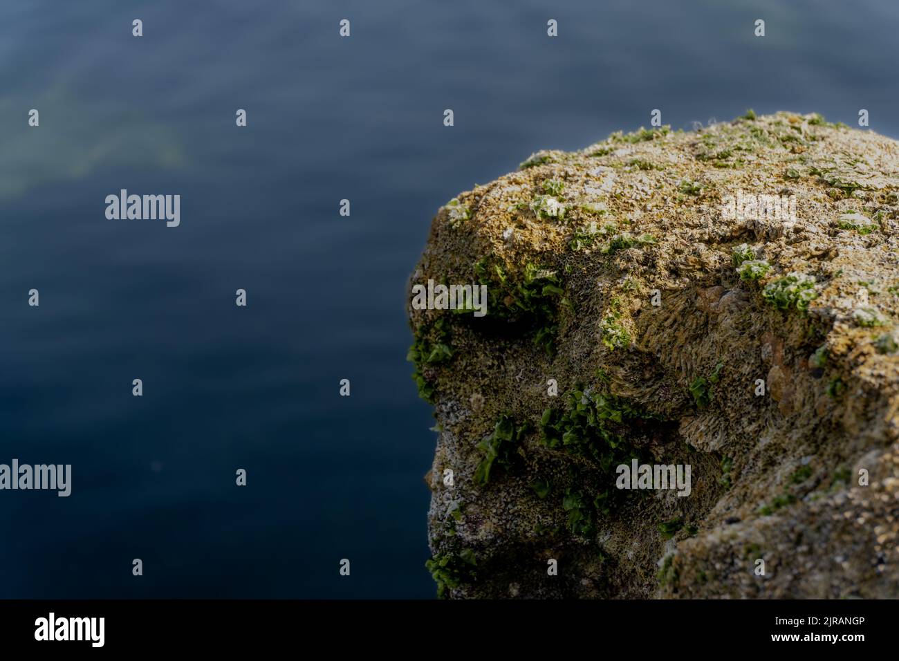 A closeup of the mossy edge of a rocky cliff overlooking the dark sea ...