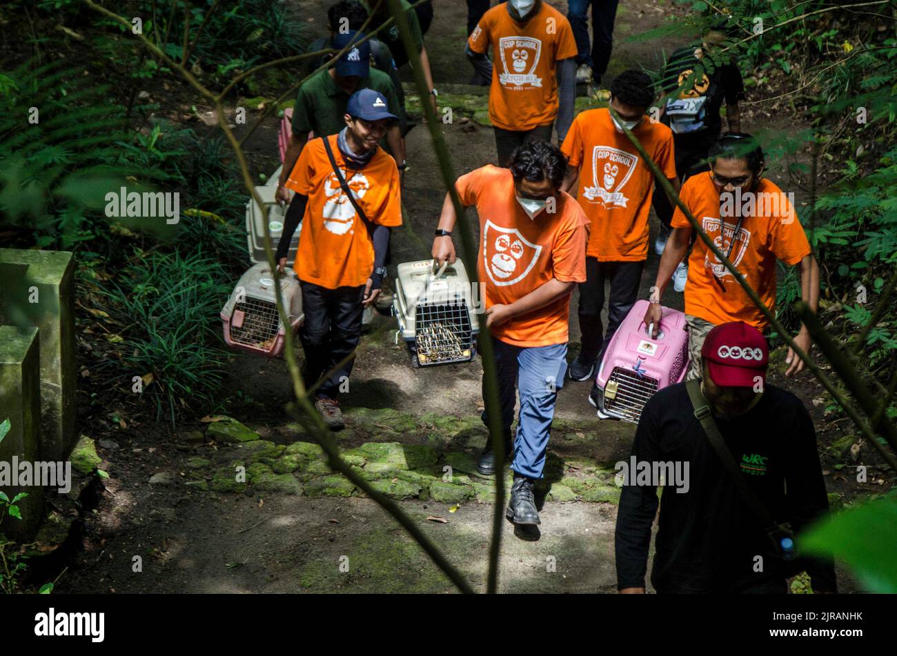 Merapi national park hi-res stock photography and images - Alamy