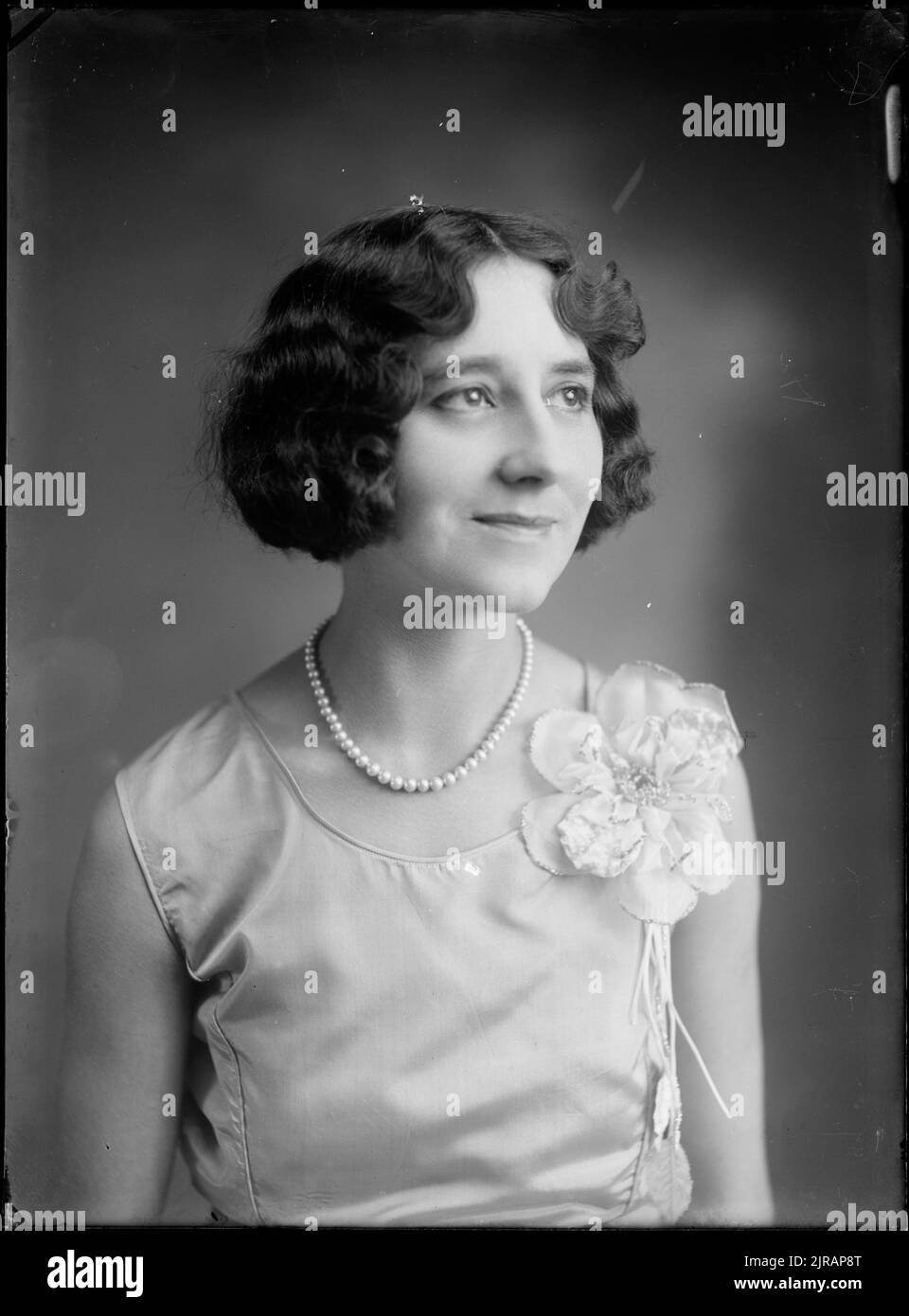 Mrs Jackman coupon, circa 1920, Wellington, by Berry & Co Stock Photo ...