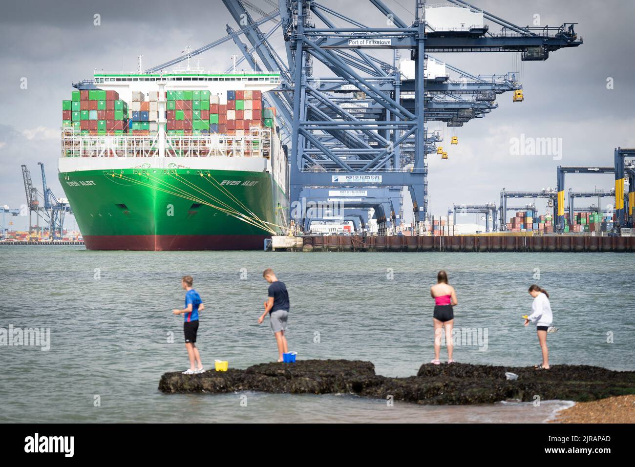 The container ship the Ever Alot one of the biggest cargo ships in the ...