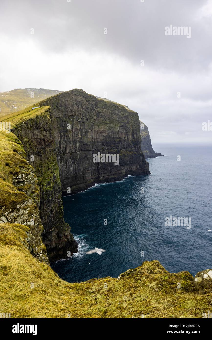 Faroe Islands, Eysturoy, Gjogv, Steep coastal cliffs Stock Photo - Alamy