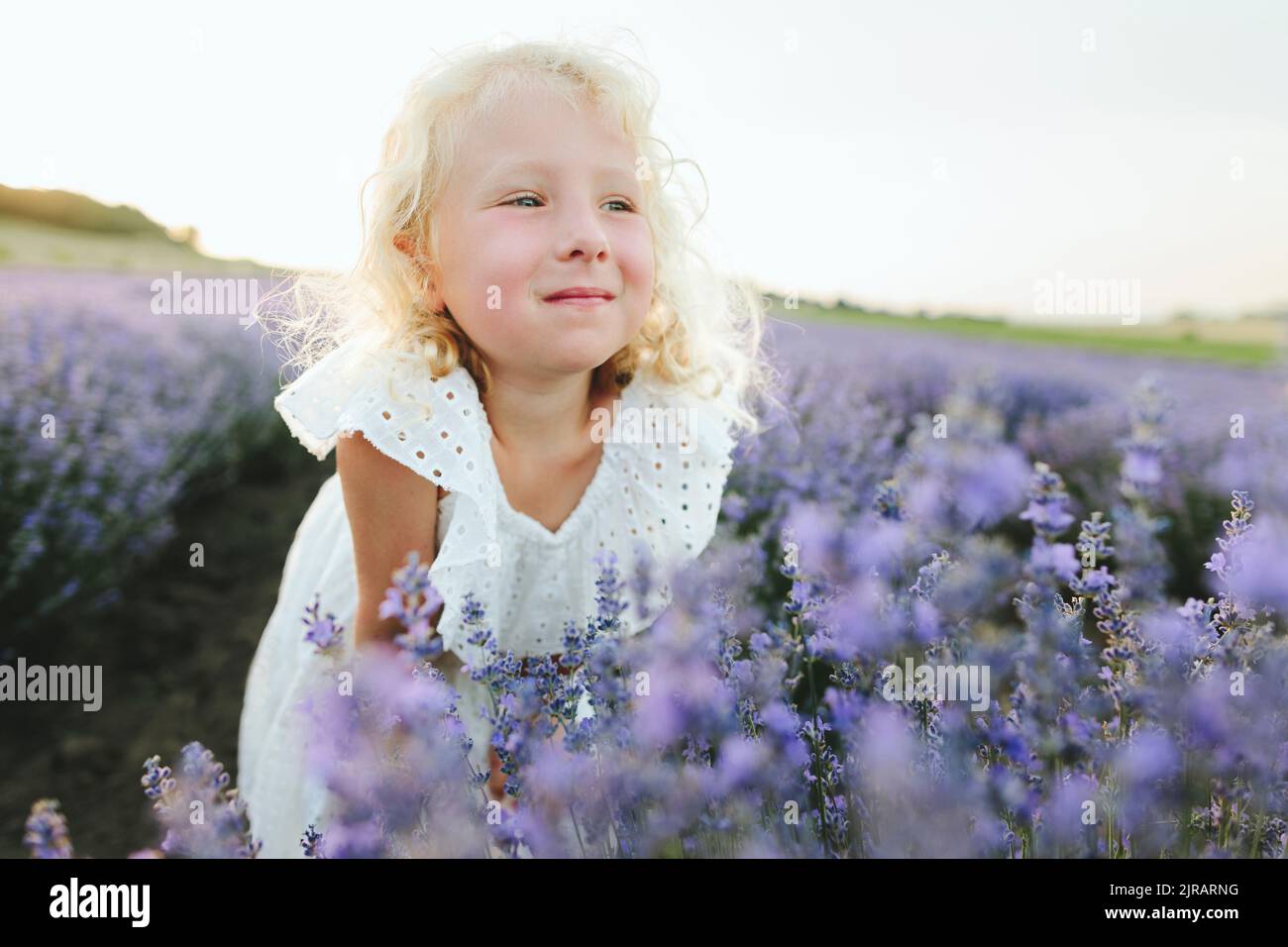 Smiling cute girl standing amidst lavender plants Stock Photo - Alamy