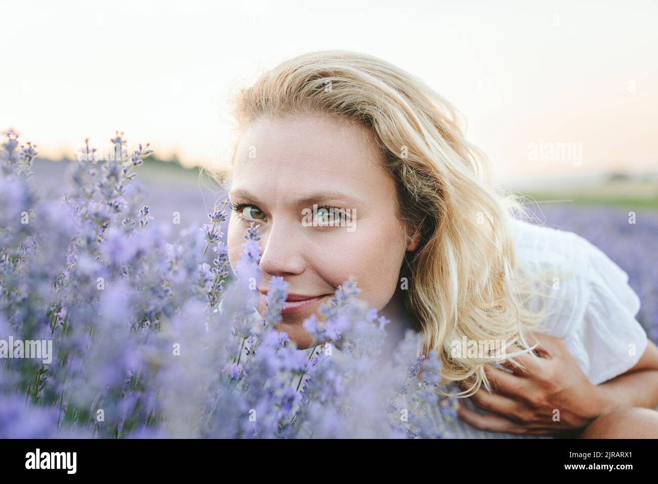 Lavender flowers sunset selective hi-res stock photography and images ...