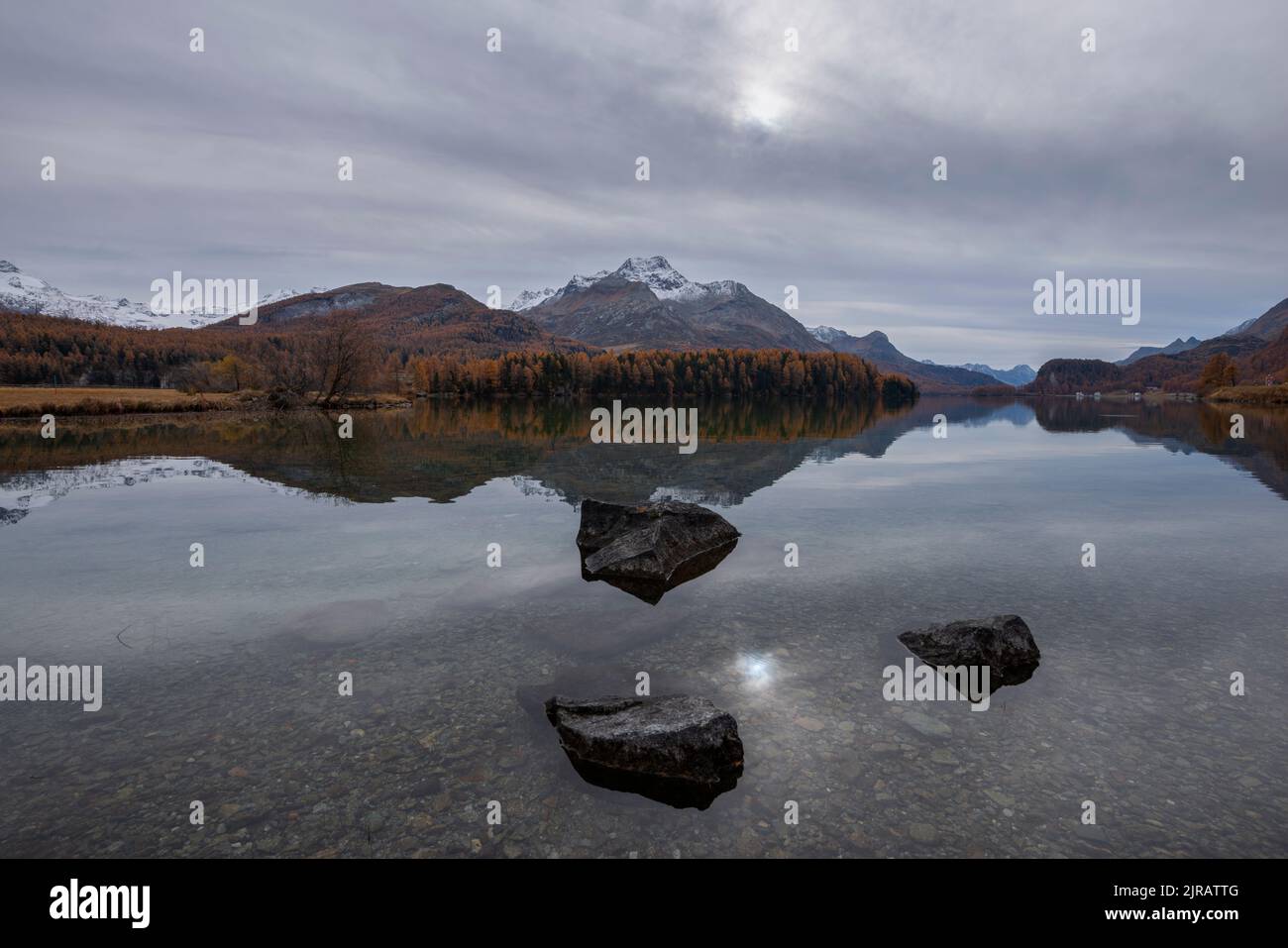 Switzerland, Grisons, Sankt Moritz, Shore of Lake Sils in autumn Stock ...